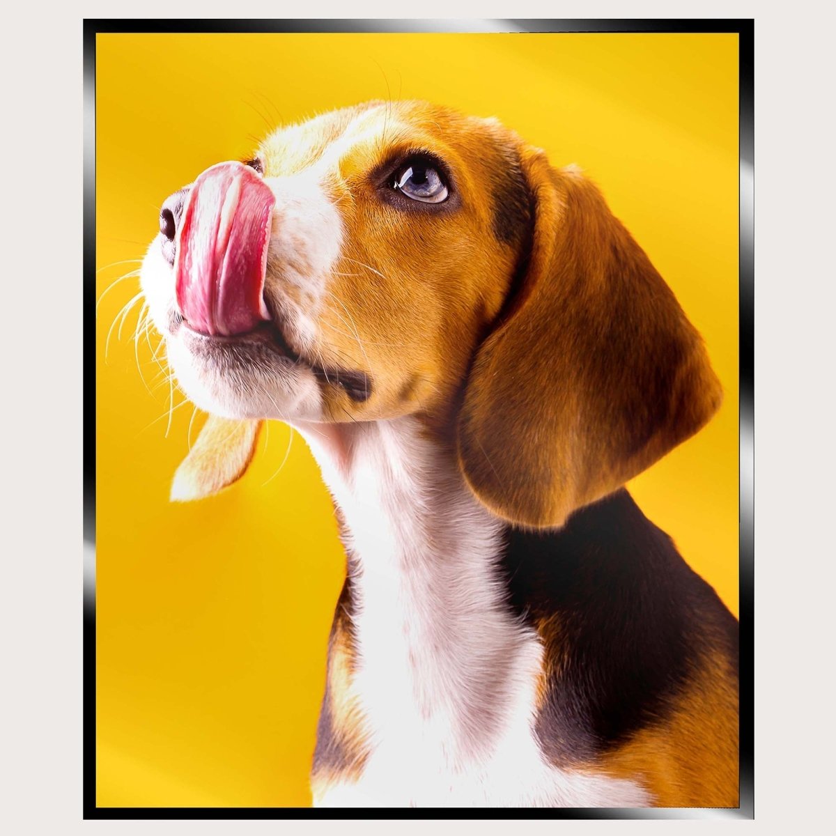 Illuminated Wall Art - Cute Beagle | Illuminart